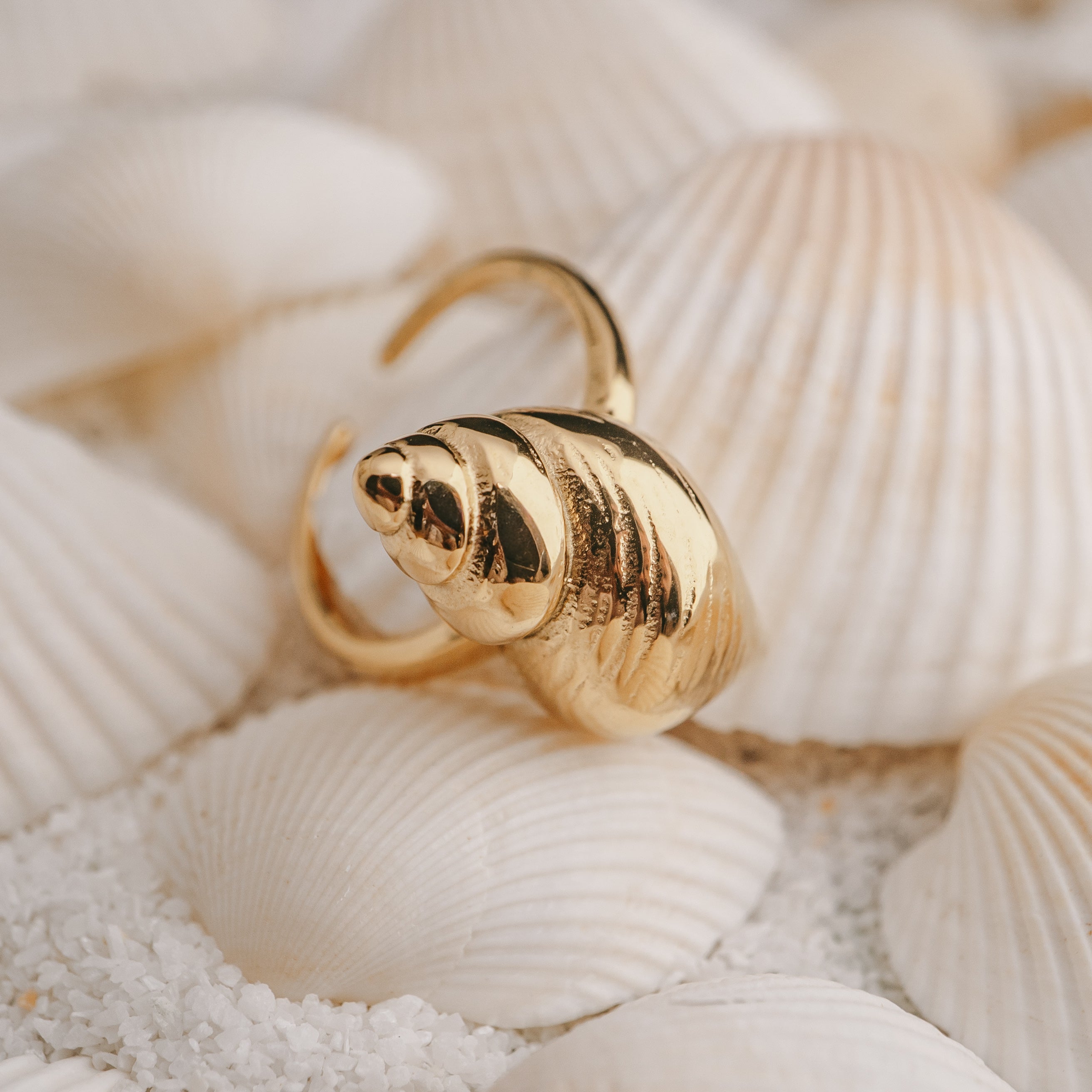 Golden Conch Shell Ring (Adjustable) – Vanilla Shore