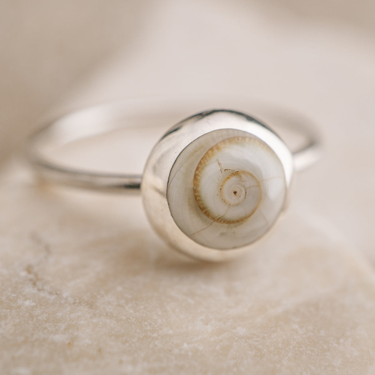 Dainty Shiva Shell Ring – Vanilla Shore